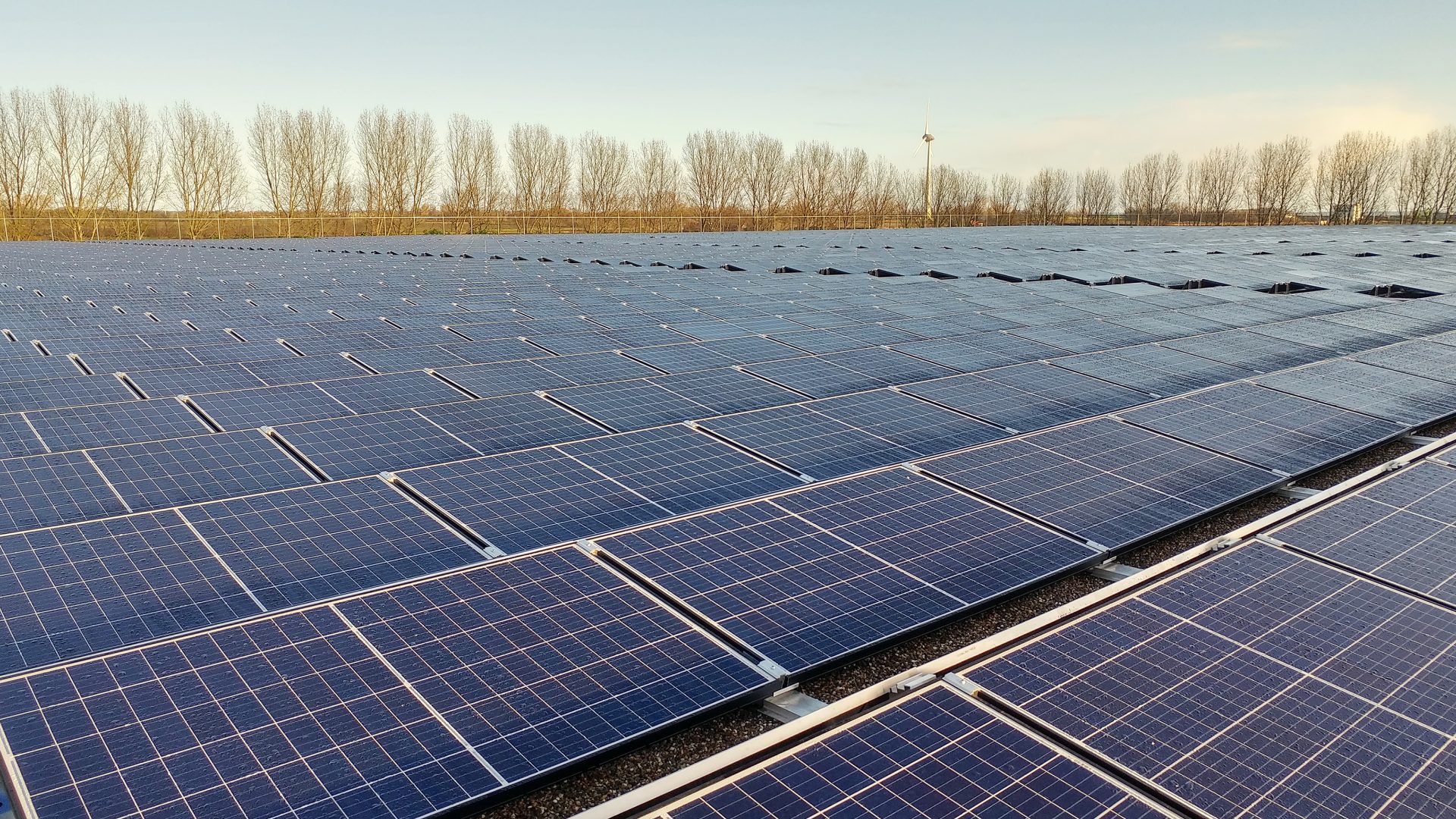 Solarbase: sustainable base for solar parks - Afvalzorg